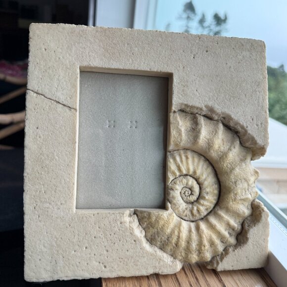 Frame-ology | Accents | Vintage Frameology Faux Stone Ammonite Fossil ...